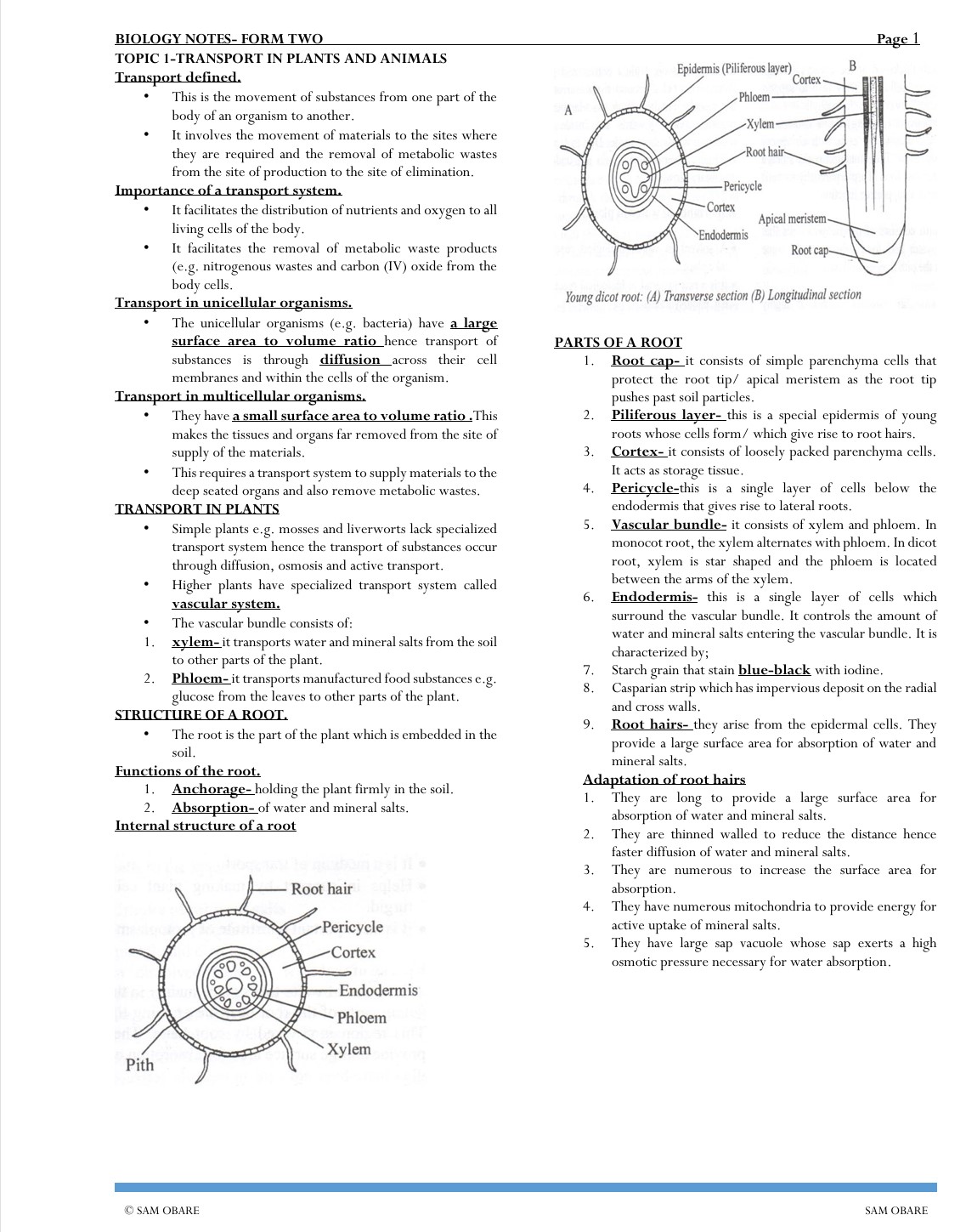 Notes.co.ke - Education notes in Kenya